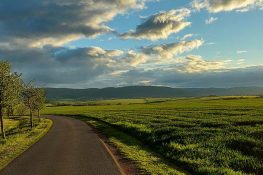 Gemeinde Geratal – Landgemeinde im Thüringer Wald.