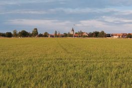 Gemeinde Geratal – Landgemeinde im Thüringer Wald.